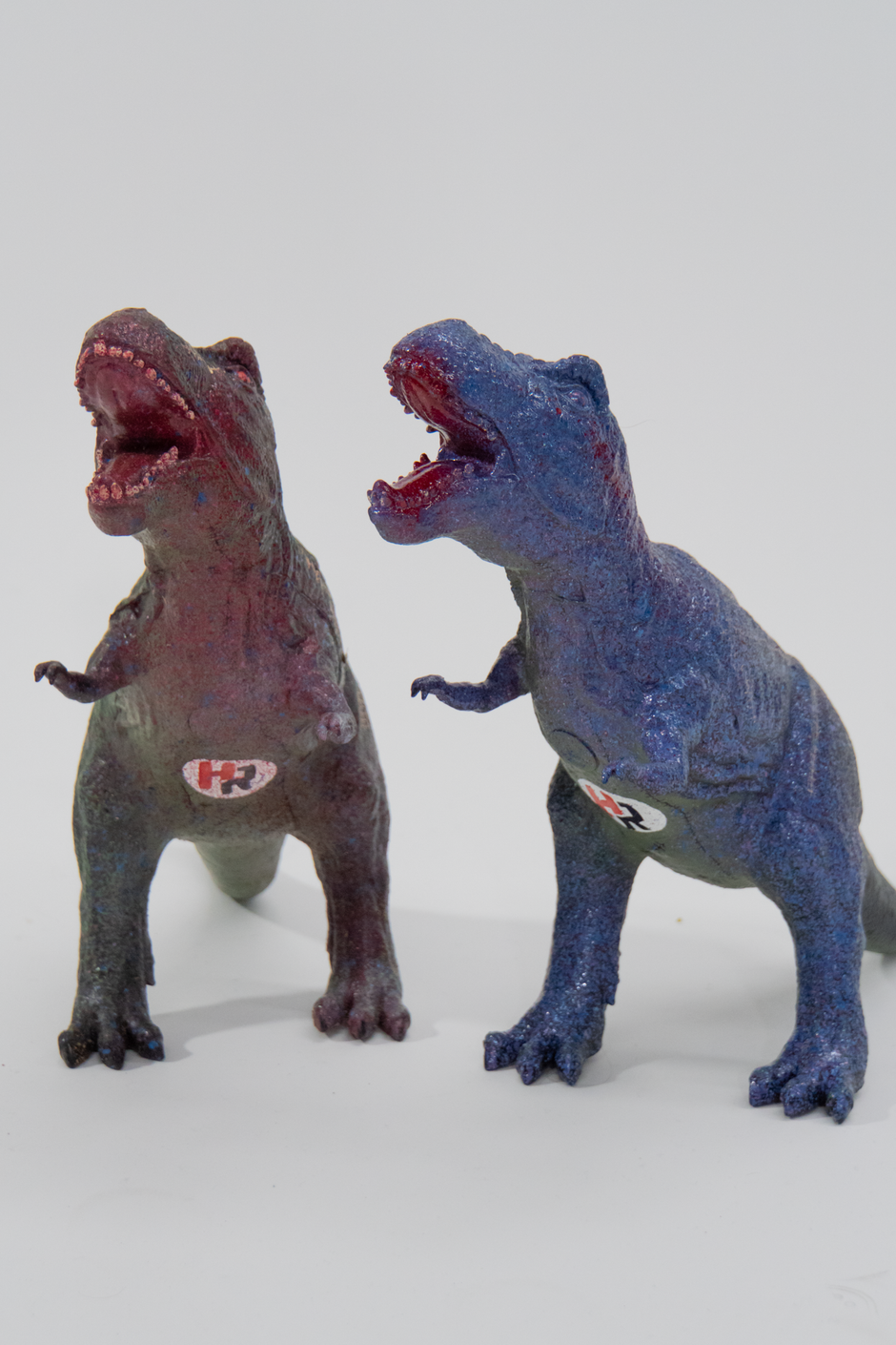 ACCESSORIES – Rexy